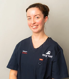 Meet The Team at MyVet